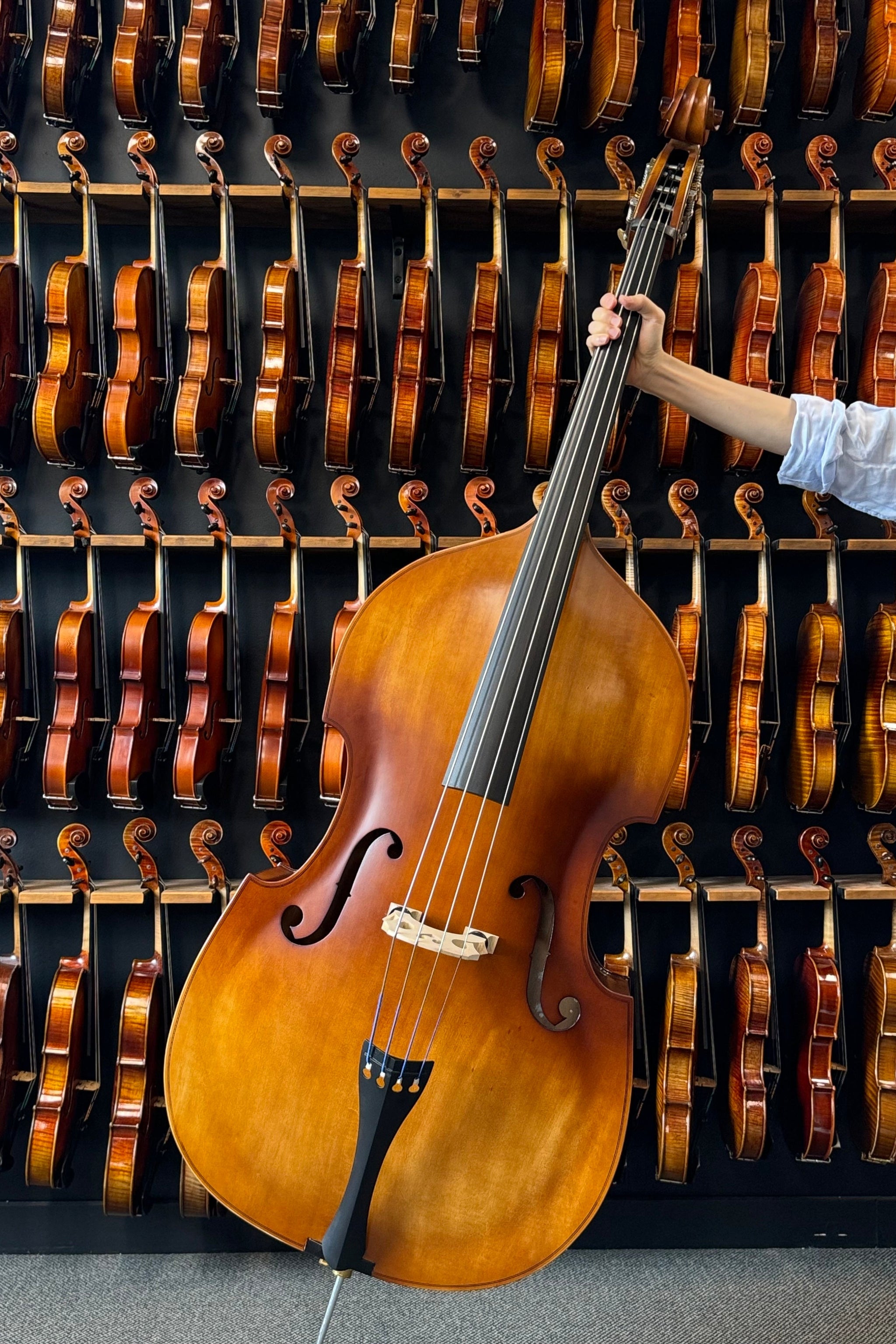Beginner Double Basses