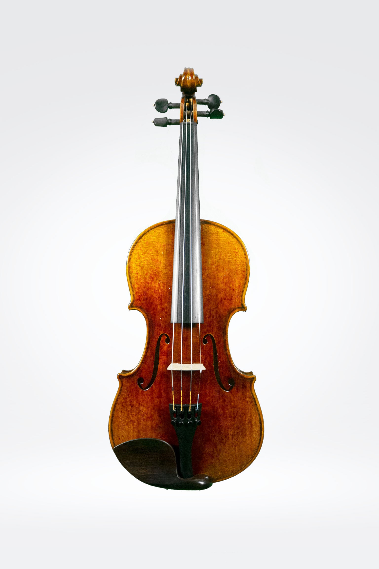 Viola | Shop High Quality Viola's Australia