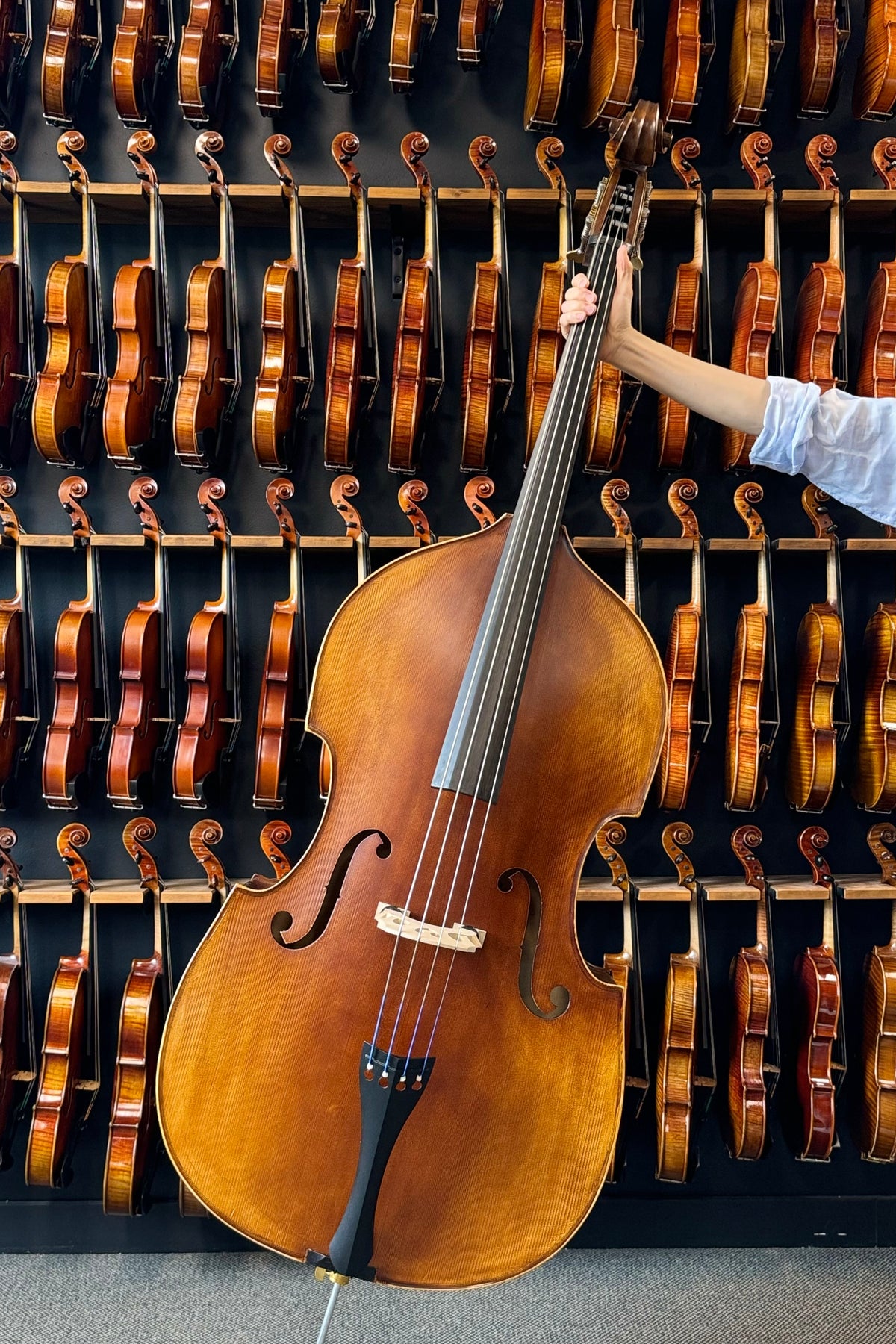 Beginner Double Basses