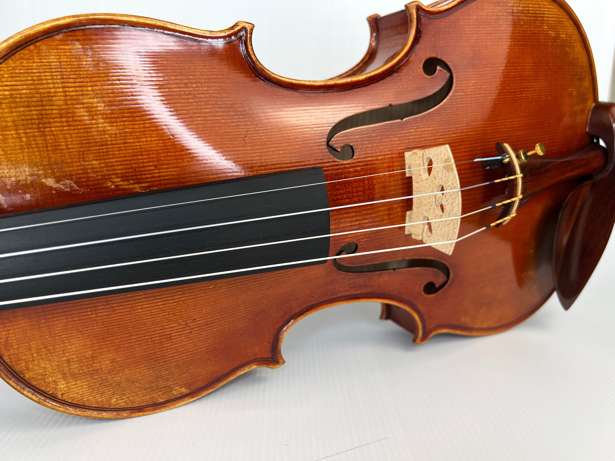 Euro I Violin | Premium High Quality Entry Level Professional | First ...