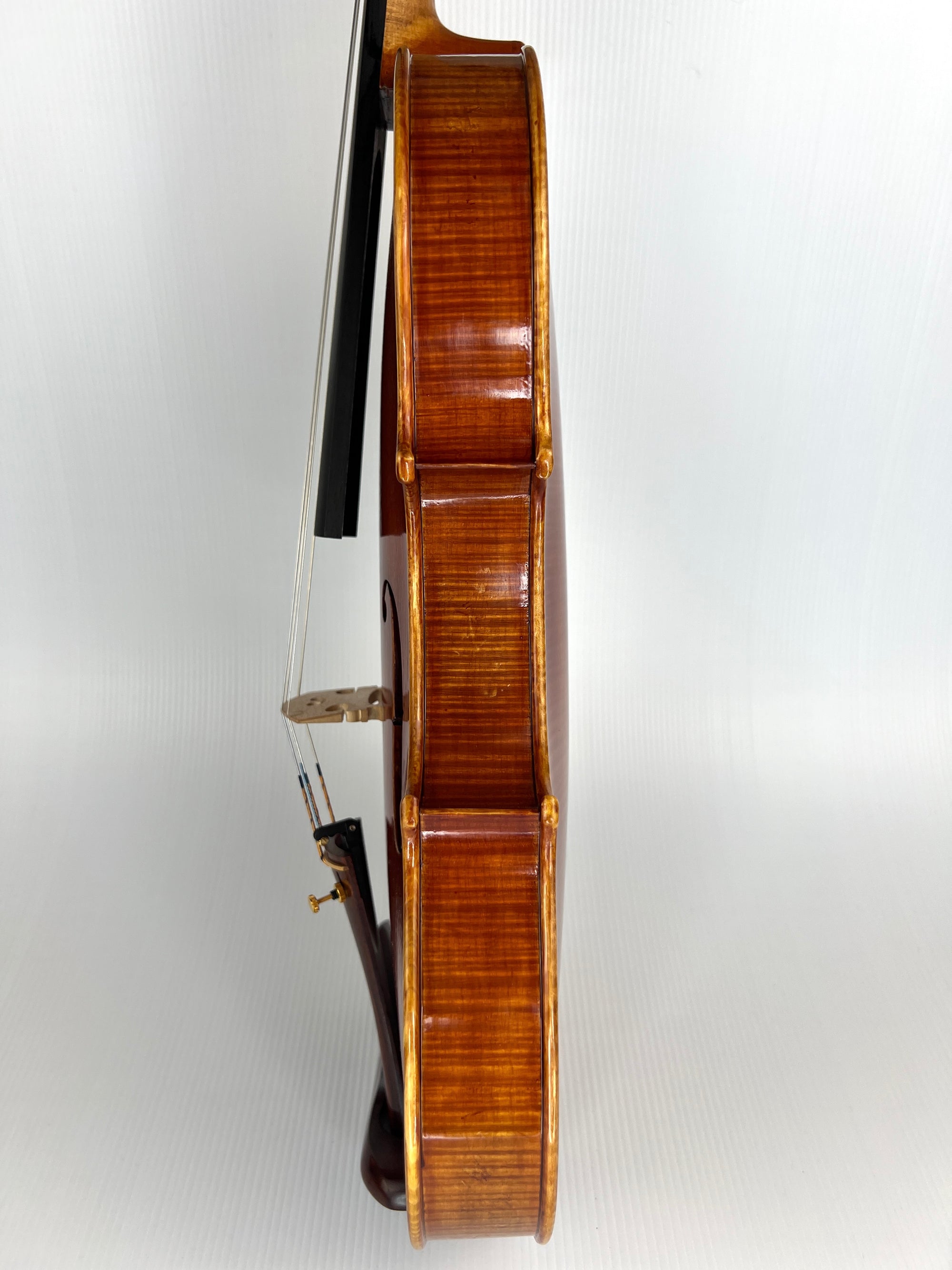 Euro I Violin | Premium High Quality Entry Level Professional | First ...