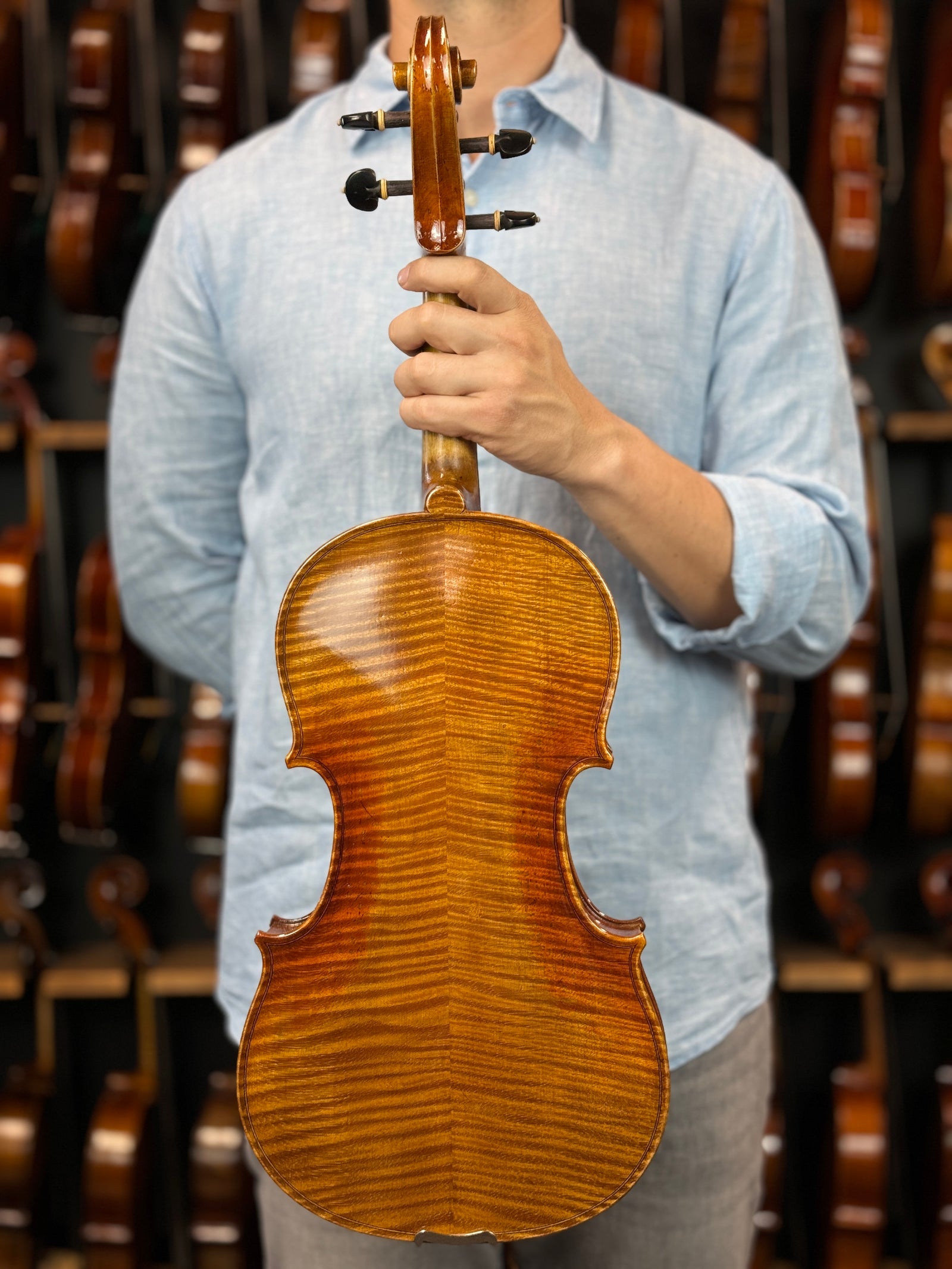 Viola | Shop High Quality Viola's Australia