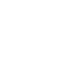 Cello | Shop High Quality Cellos Australia